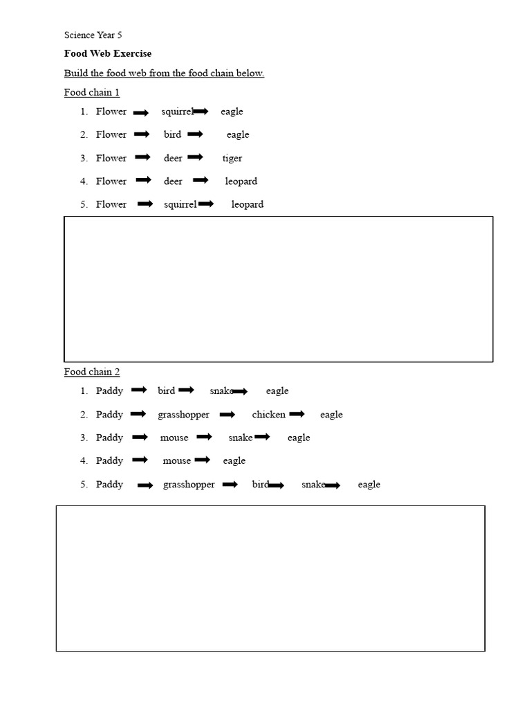 Food Web Exercise | PDF