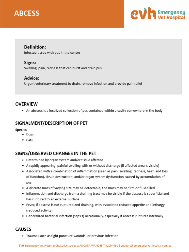 Abscess Infectious Diseases Handout | PDF | Infection | Sepsis