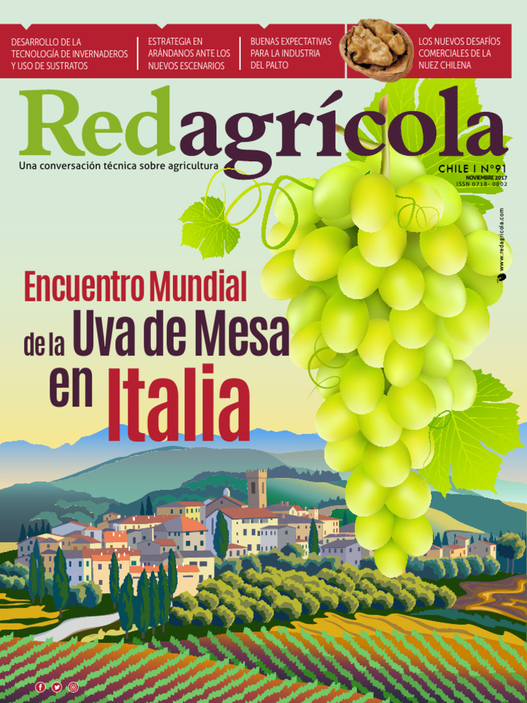 Ra 91 | PDF | Chile | Agricultura