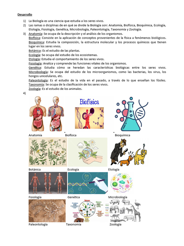 Trabajo Practico N°2 de Biología | PDF | Biología | Zoología