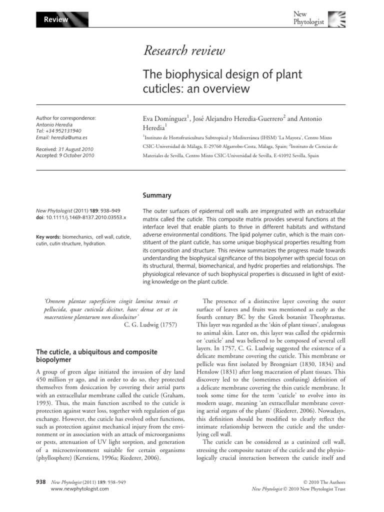The Biophysical Design of Plant Cuticles | PDF | Elasticity (Physics ...