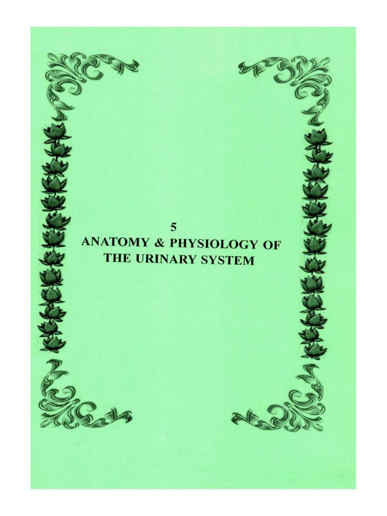 ANATOMY & PHYSIOLOGY OF THE URINARY SYSTEM | PDF | Urinary System | Kidney