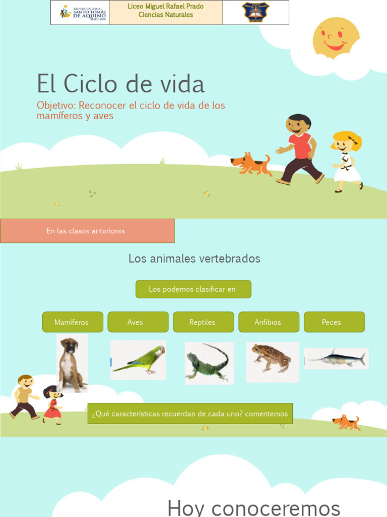 Ciclo de Vida de Los Humanos | PDF