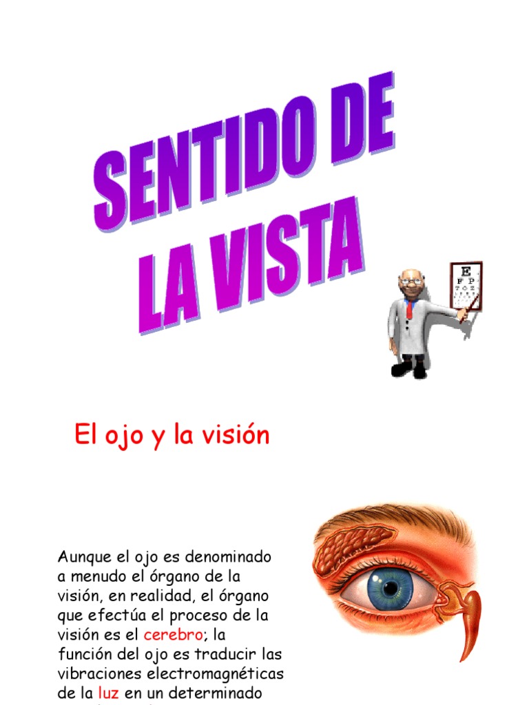 Sentido de La Vista | PDF | Ojo humano | Percepción visual