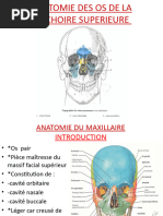 6 - Anatomie Des Os de La Face | PDF | Anatomie humaine | Appareil ...