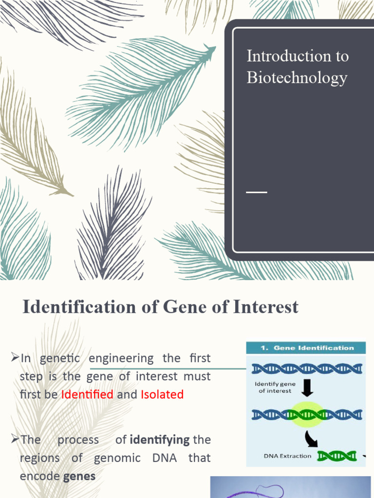 Identification and Isolation of Gene of Interest | PDF | Molecular ...