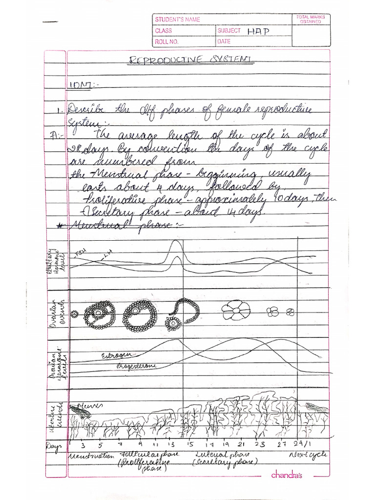 HAP Assignment | PDF