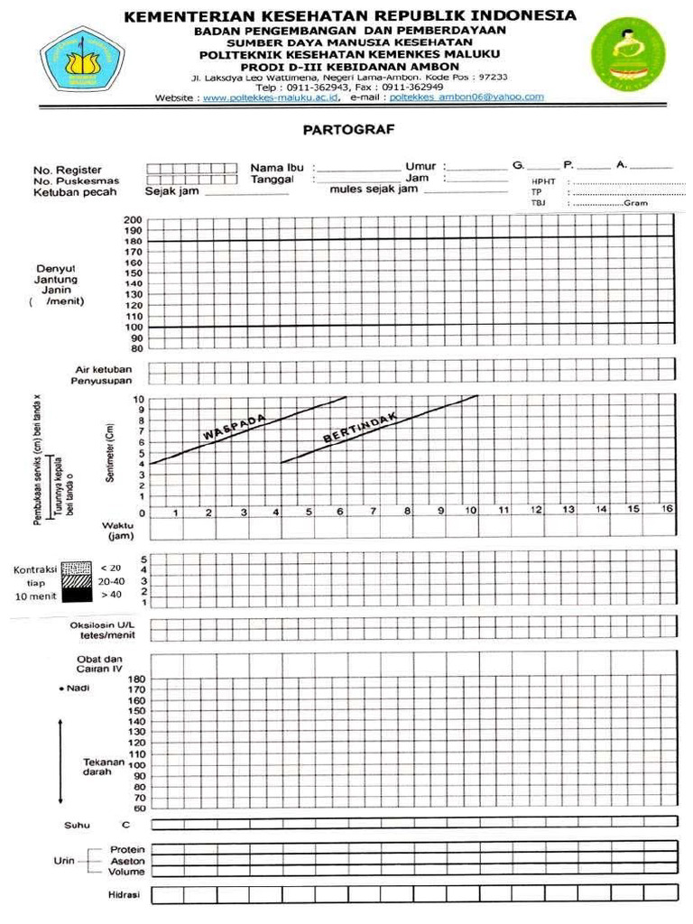 Lembar Partograf | PDF