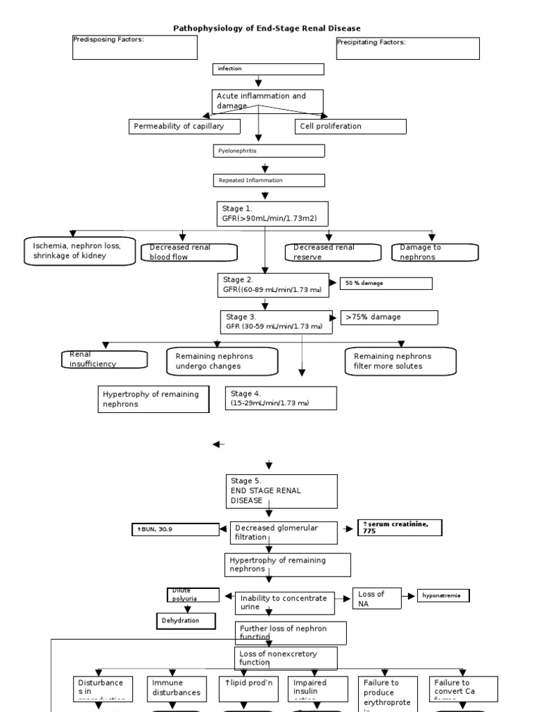 Pathophysiology of End-Stage Renal Disease (ESRD | PDF