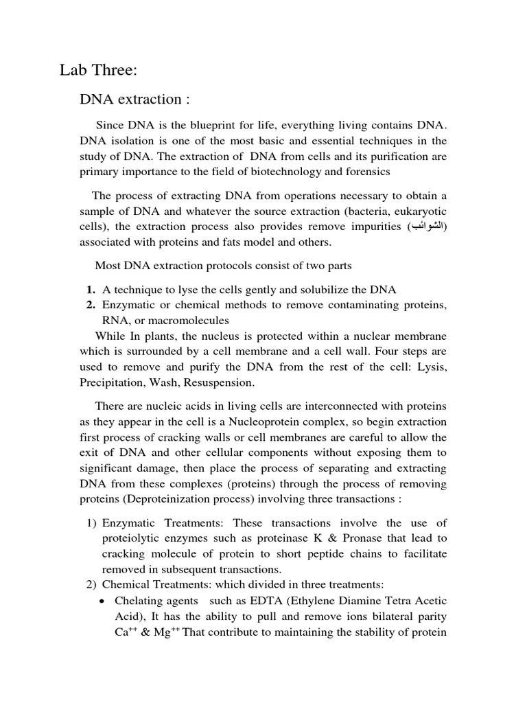 DNA extraction | PDF | Cell (Biology) | Proteins