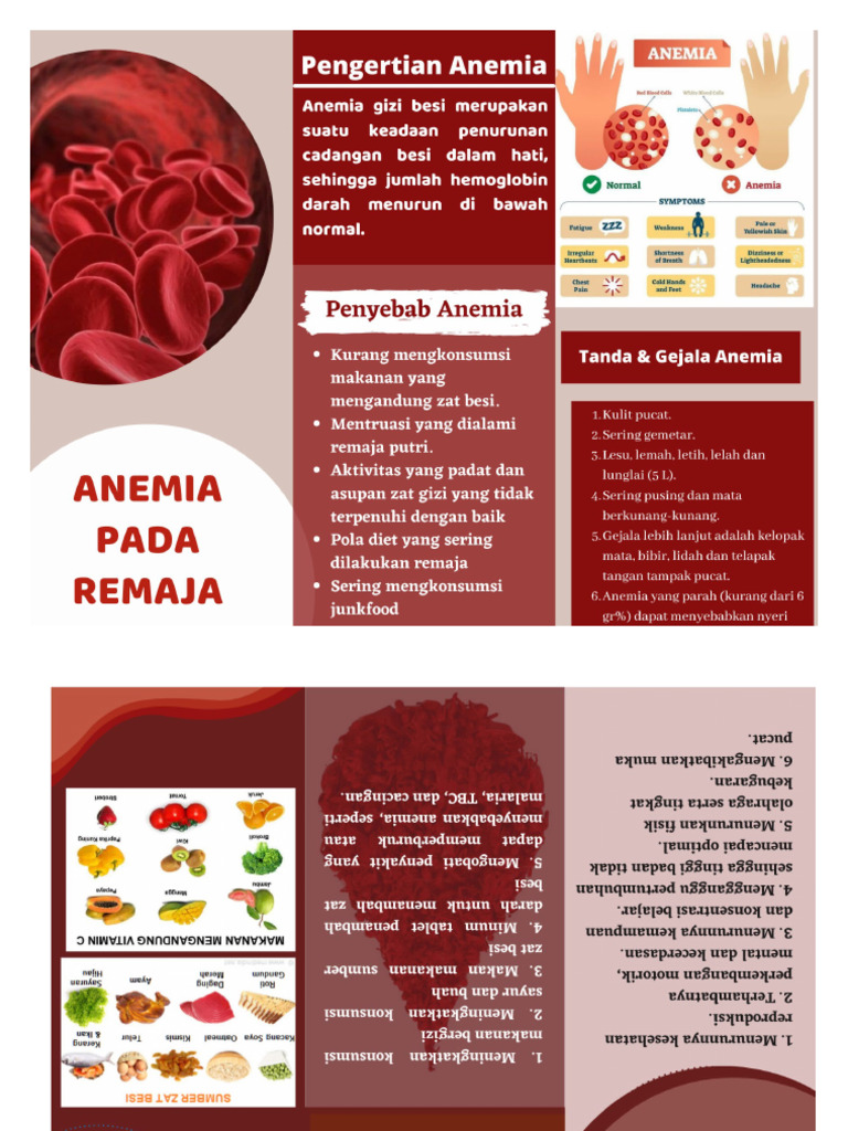LEAFLET ANEMIA | PDF