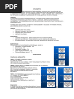 Fracturas de Cotilo: Clasificación y Tratamiento | PDF | Pelvis ...