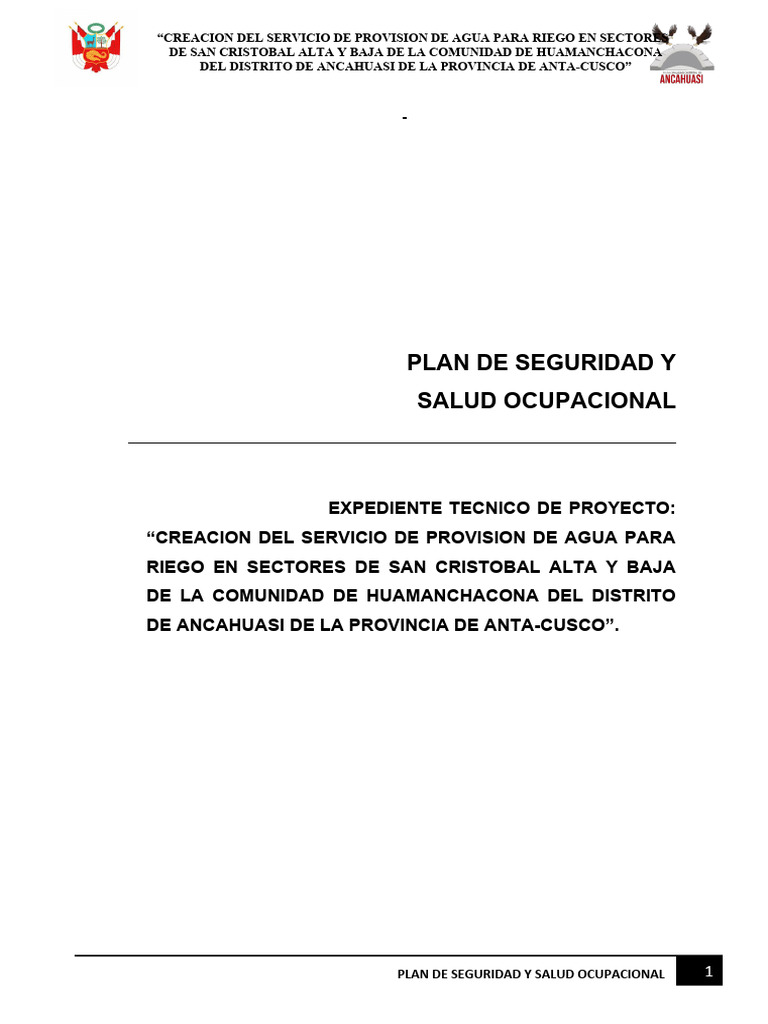1 PLAN DE SEGURIDAD Y SALUD OCUPACIONAL | PDF | Seguridad y salud ocupacional | Planificación