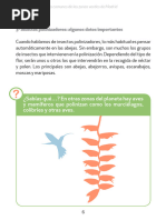 INSECTOS PLAGAS - Tara PDF | PDF | Lepidópteros | Mosca