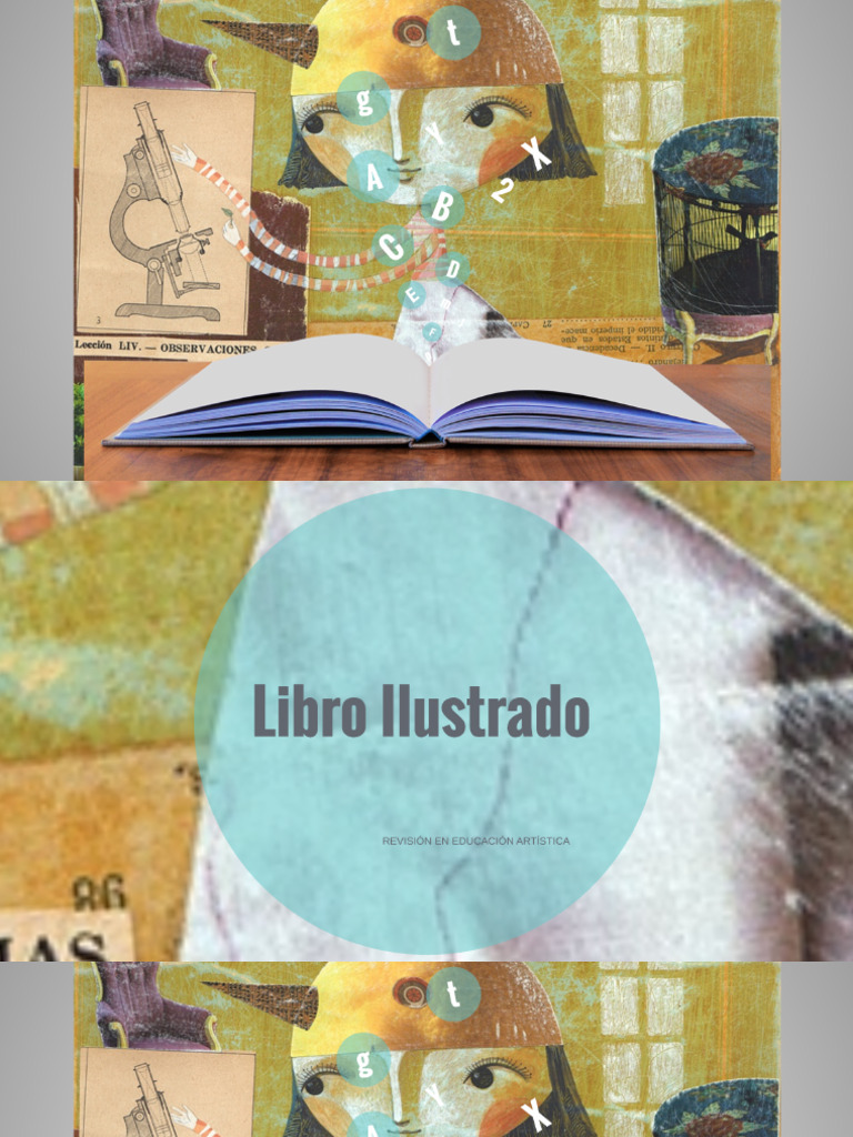 Libro Ilustrado | PDF