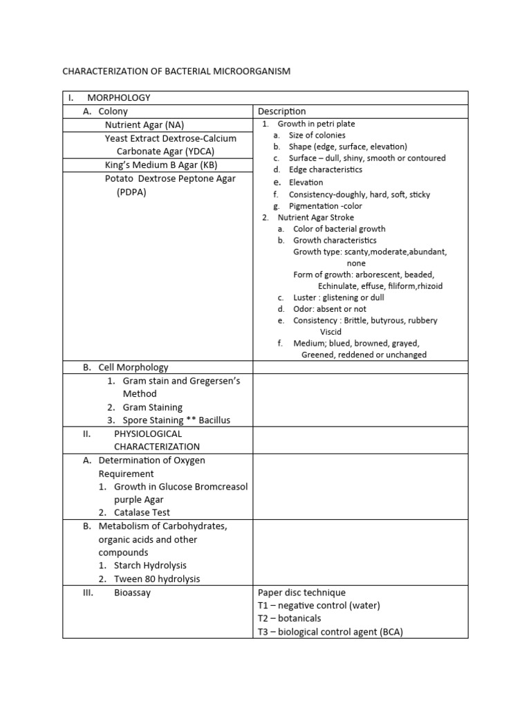 Characterization of Bacterial Microorganism | PDF | Bacteria | Staining
