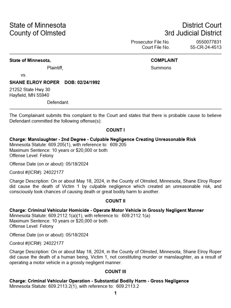 Minnesota Manslaughter and Vehicular Charges | PDF | Arrest Warrant ...