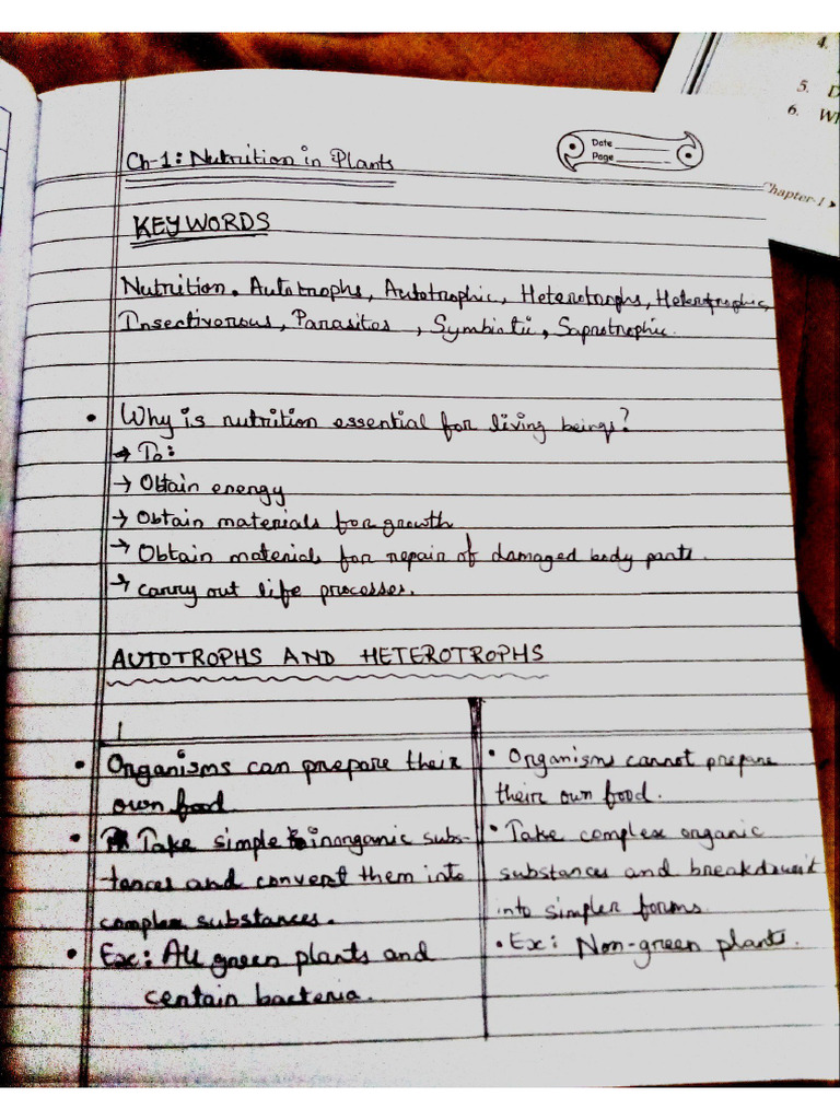 Aastha Ankita 7f Biology Class Work | PDF