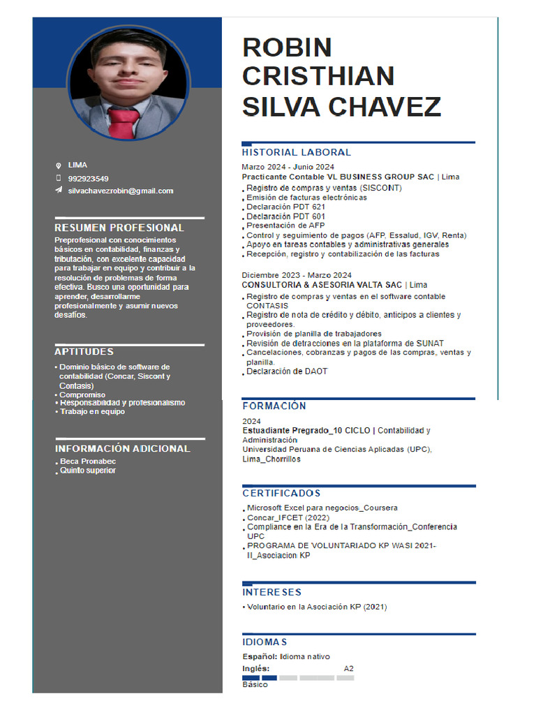 CV - Robin Silva Chavez | PDF