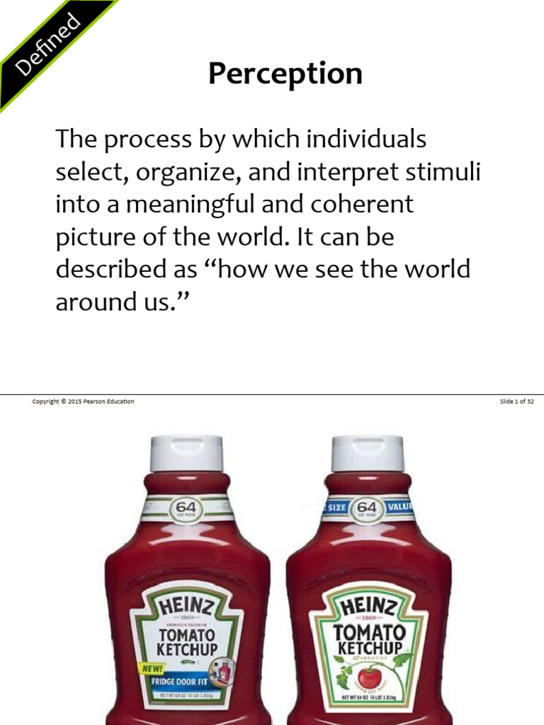 Chap 4 perception | PDF | Perception | Senses