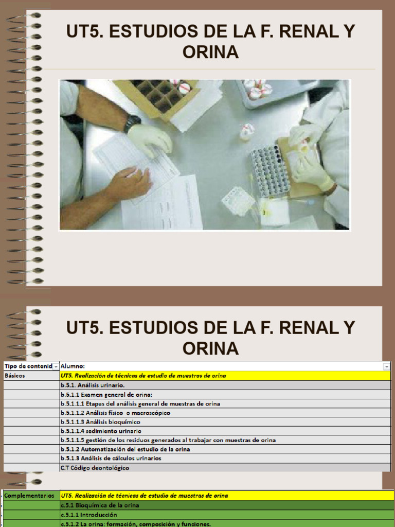 Ut5 Orina | PDF