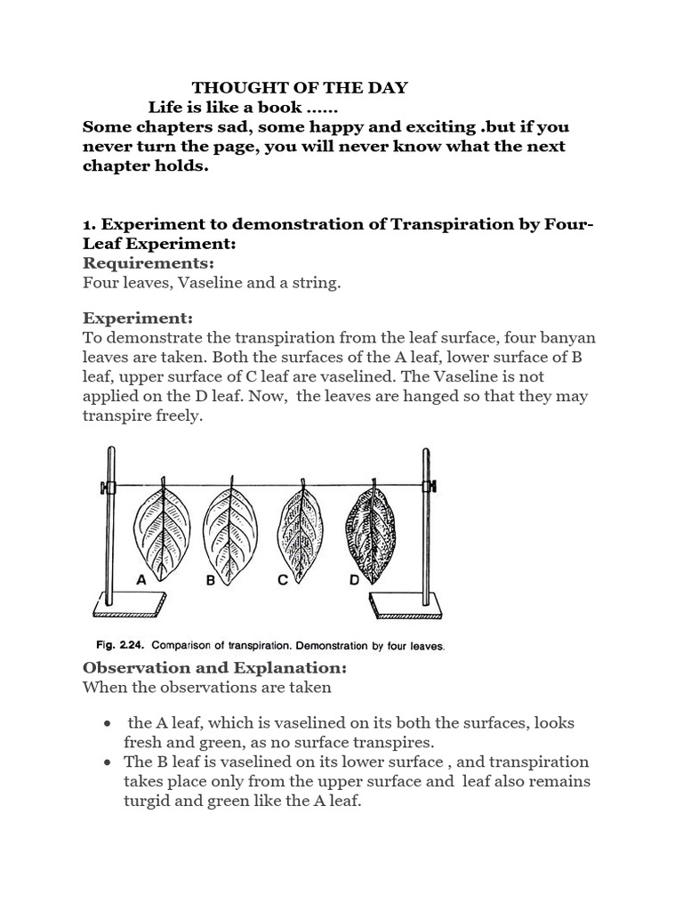Transpiration Experiment in | PDF | Leaf | Water