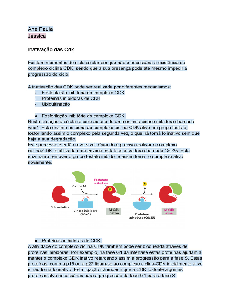 2⁰ caso_ checkpoints G1_S e G2_M | PDF | DNA | Ciclo de célula