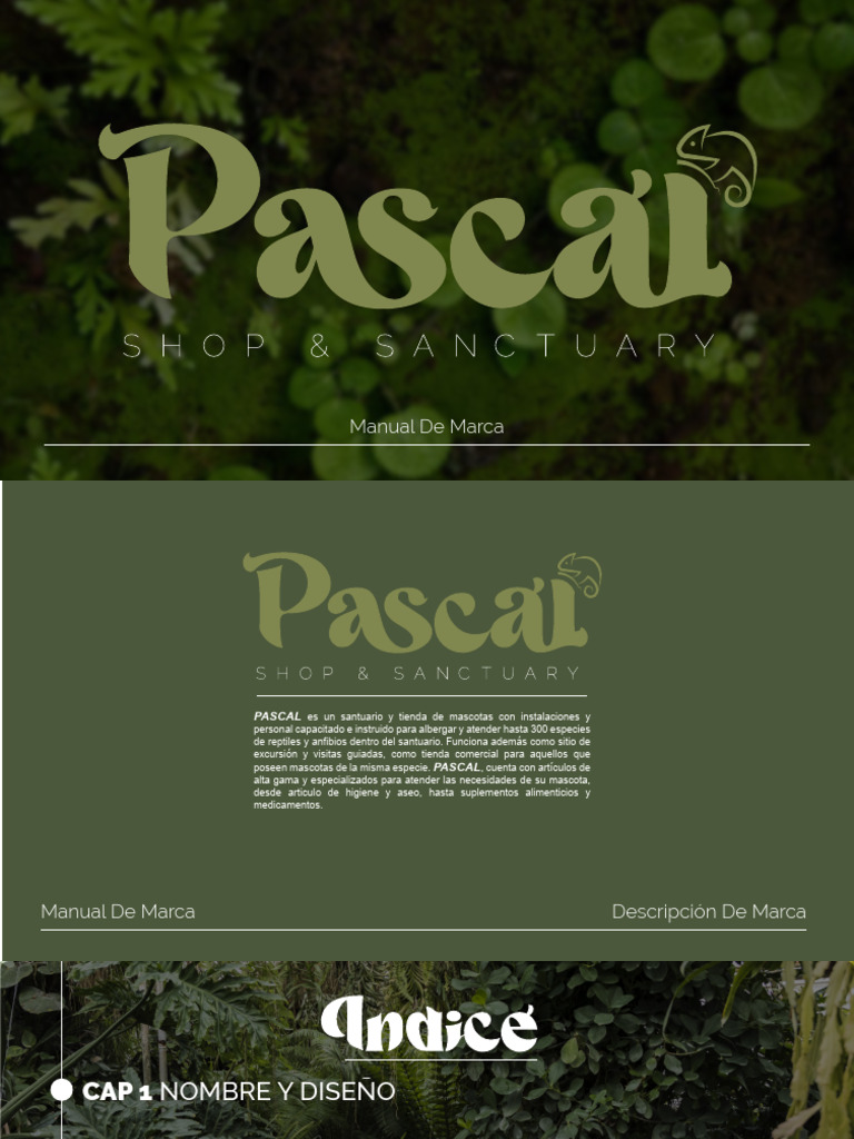 Manual Pascal | PDF | Marca