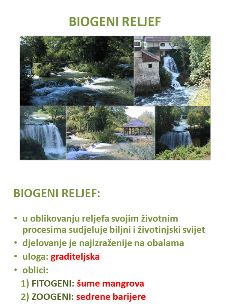 Biogeni Reljef | PDF