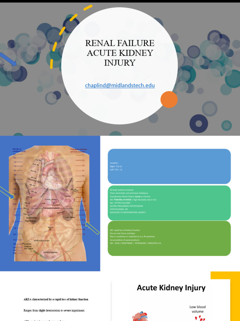Acute Kidney Injury Overview and Management | PDF | Kidney | Organ ...