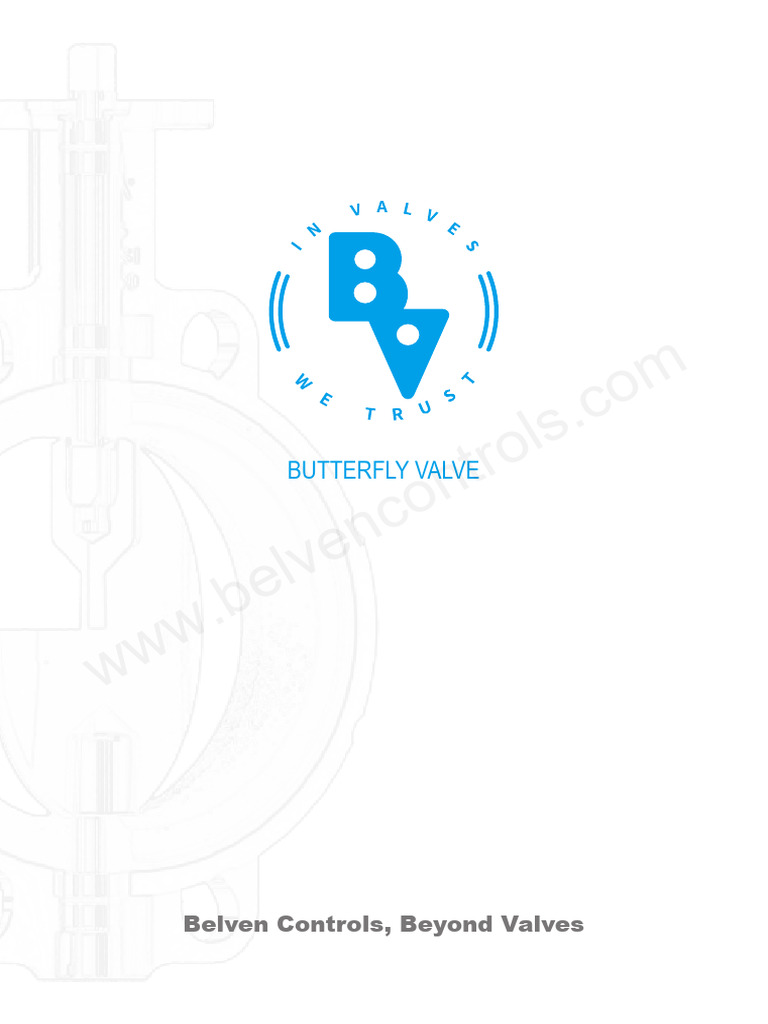 Bv10 Pdf Valve Materials