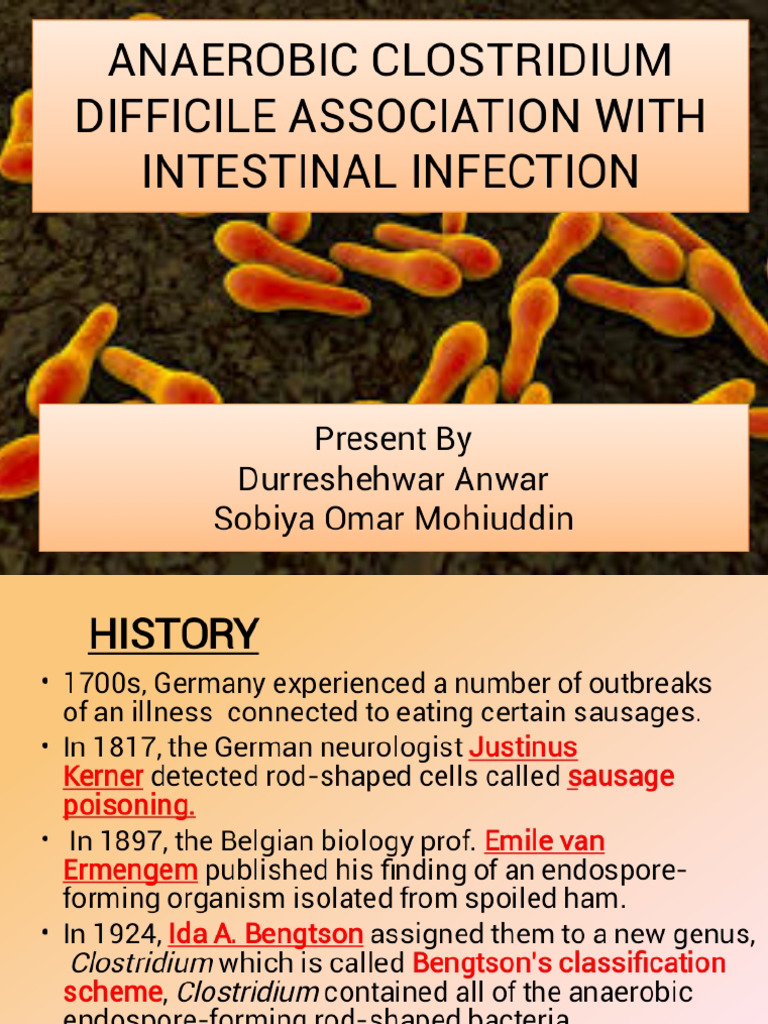 Anaerobic Clostridium Difficile Association With Intestinal Infection-2 ...