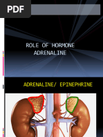 Adrenaline PDF | PDF | Blood | Heart