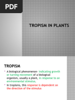 Tropisms - IGCSE Biology Revision Notes | PDF | Auxin | Root
