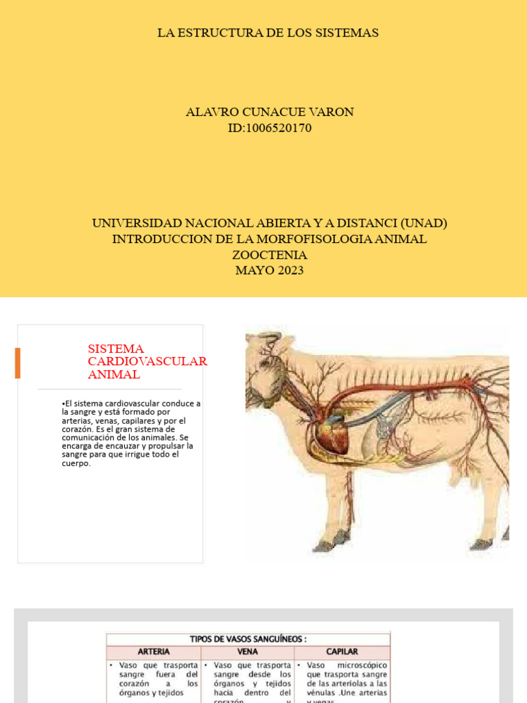 Sistemas Fisiológicos Animales | PDF | Estudios de idiomas extranjeros