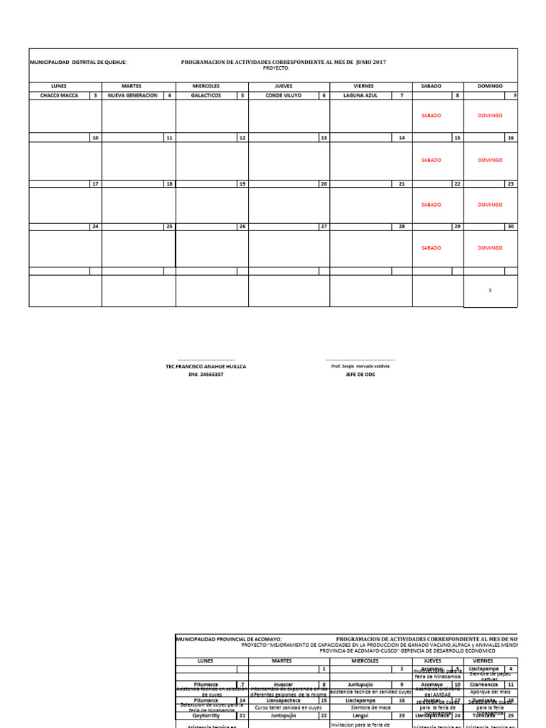 Programacion de Act. | PDF