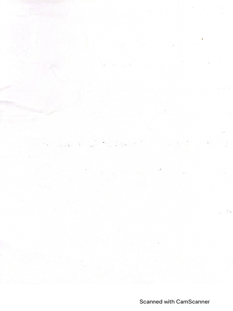 White Blank Page | PDF