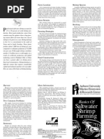 Short Blessed Test | PDF | Dementia | Alzheimer's Disease