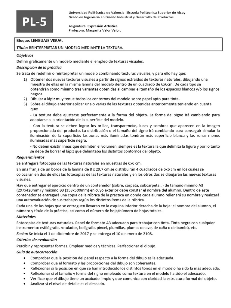 PL-5 Reinterpretar Un Modelo-Textura | PDF | Dibujo