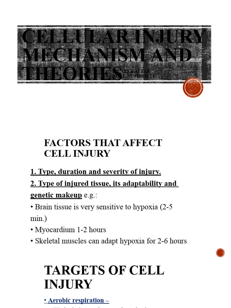 Mechanism and theories of cellular damage | PDF | Mitochondrion ...