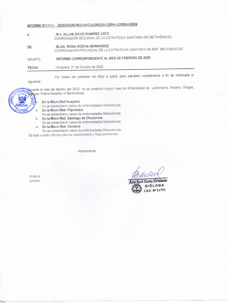 INFORMES METAx DIRESA 035 | PDF