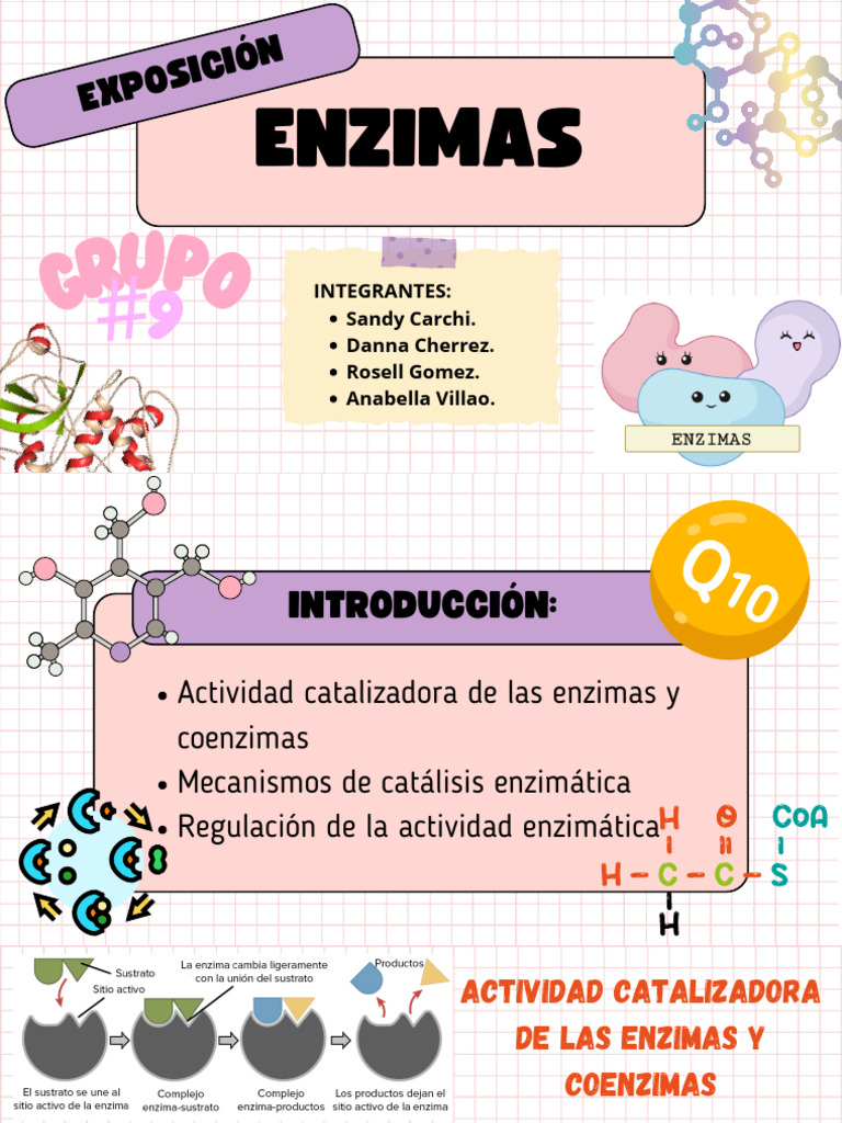 ENZIMAS | PDF | Enzima | Inhibidor de la enzima