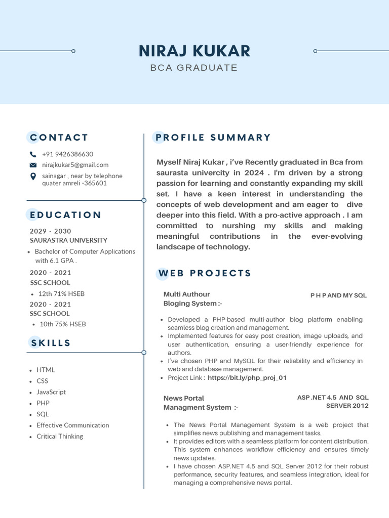 Blue Simple Professional CV Resume | PDF | World Wide Web | Internet & Web