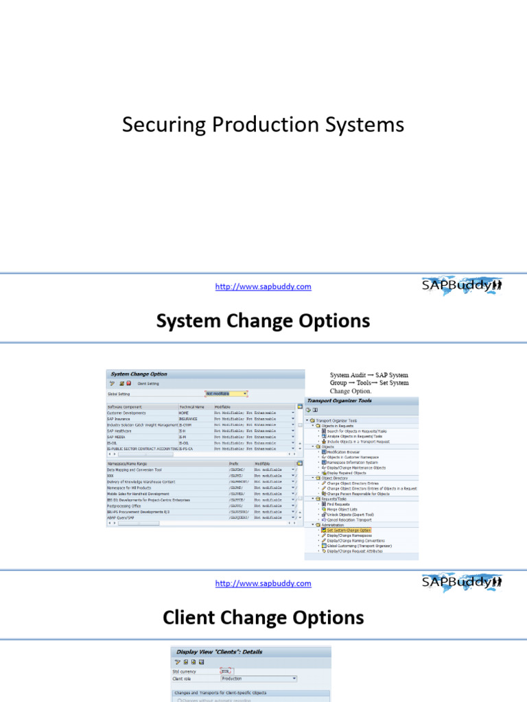 Securing SAP Production Systems | PDF | Business | Computers