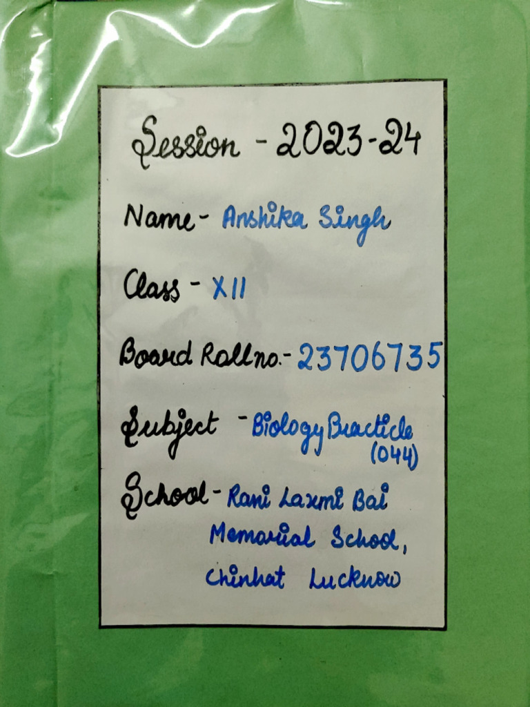 XII Biology Practical File | PDF