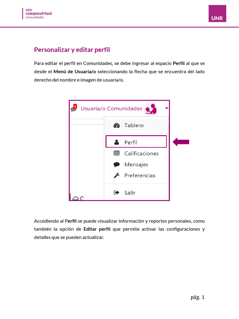 tutorial_personalizar_perfil | PDF