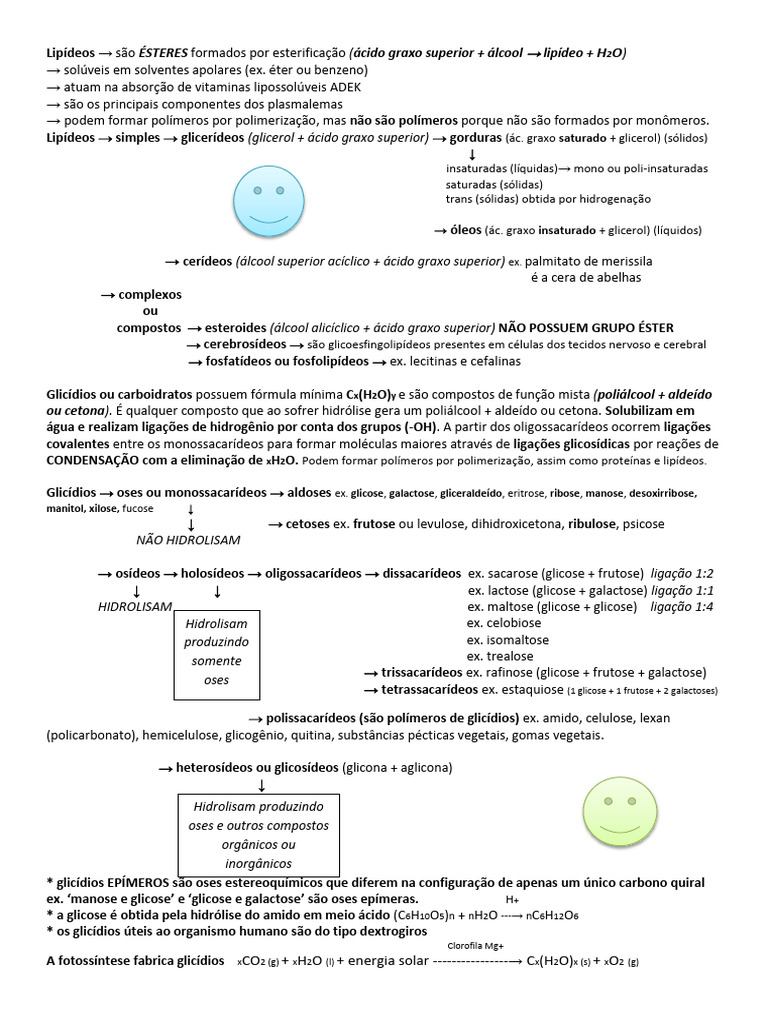 Estrutura e Função de Lipídeos e Glicídios | PDF | Carboidratos | Lipídio