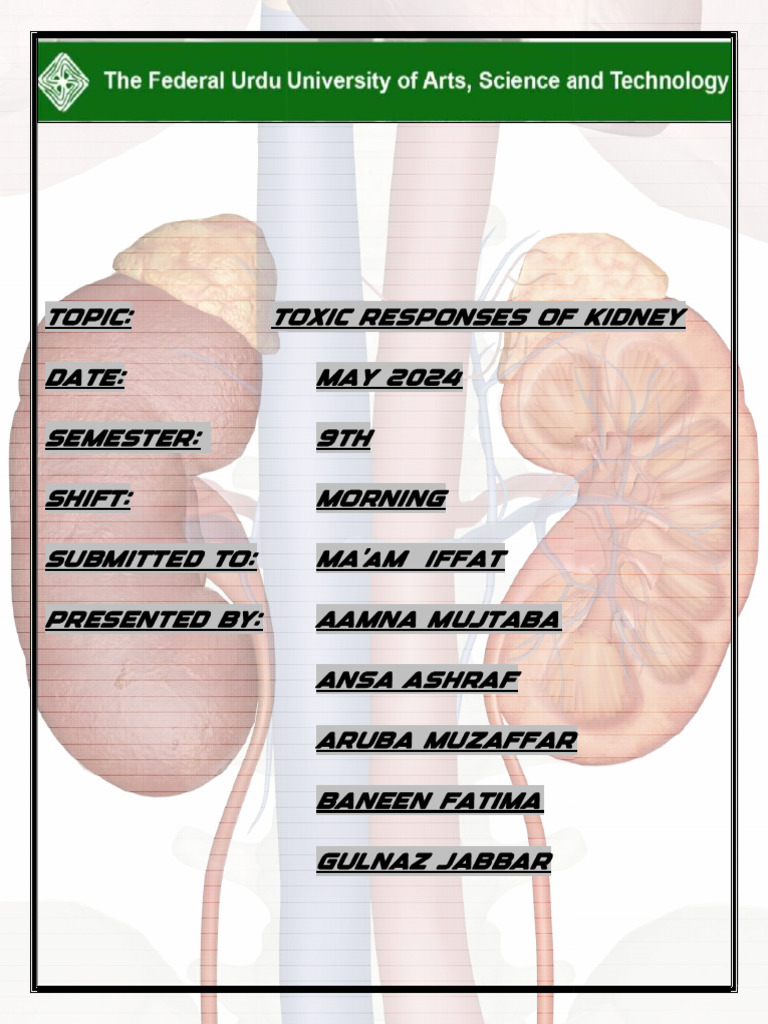 Nephrotoxicity | PDF | Kidney | Urinary System