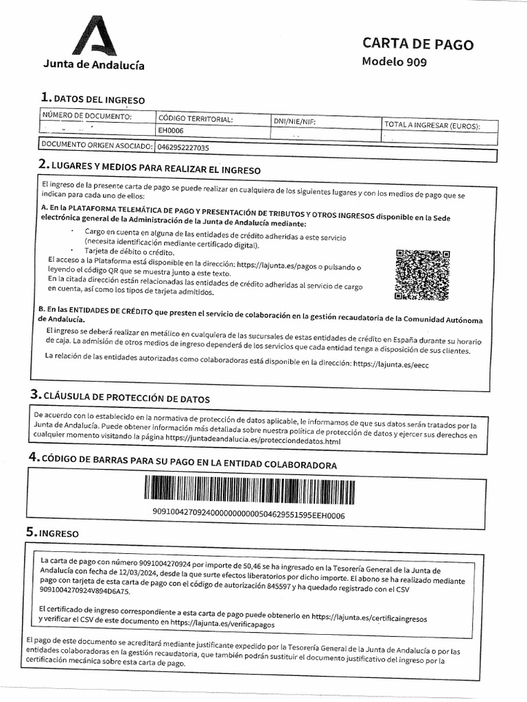 Carta Pago Modelo 909 | PDF
