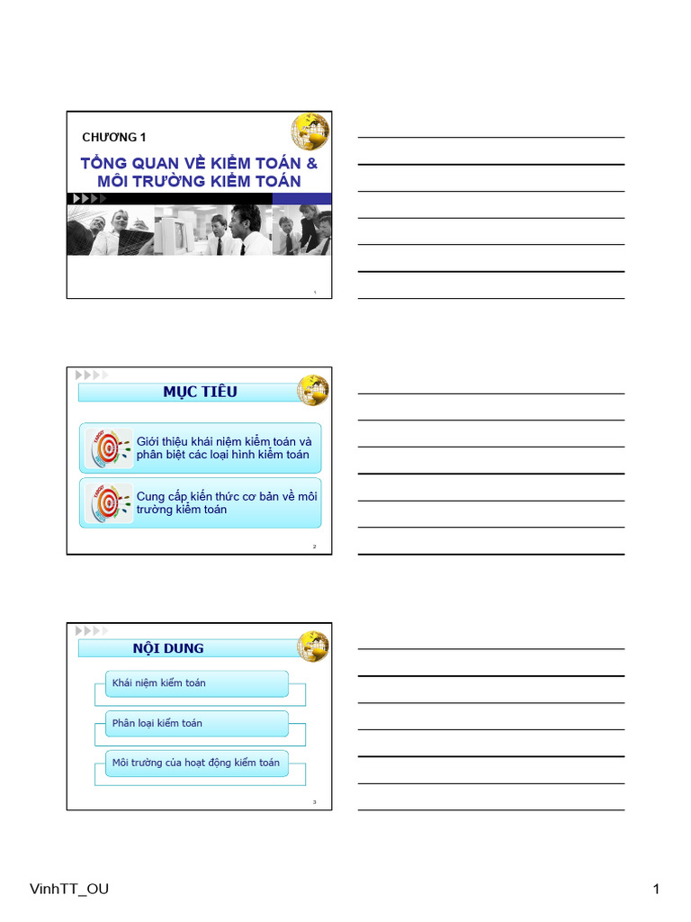 Kiem Toan 1 Chuong 2 Tong Quan Ve Kiem Toan Va Moi Truong Kiem Toan Tran Thi Vinh | PDF